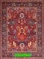 8x11 Rugs | Oriental Rug | Orange Red Color Rug | Beautiful Rugs